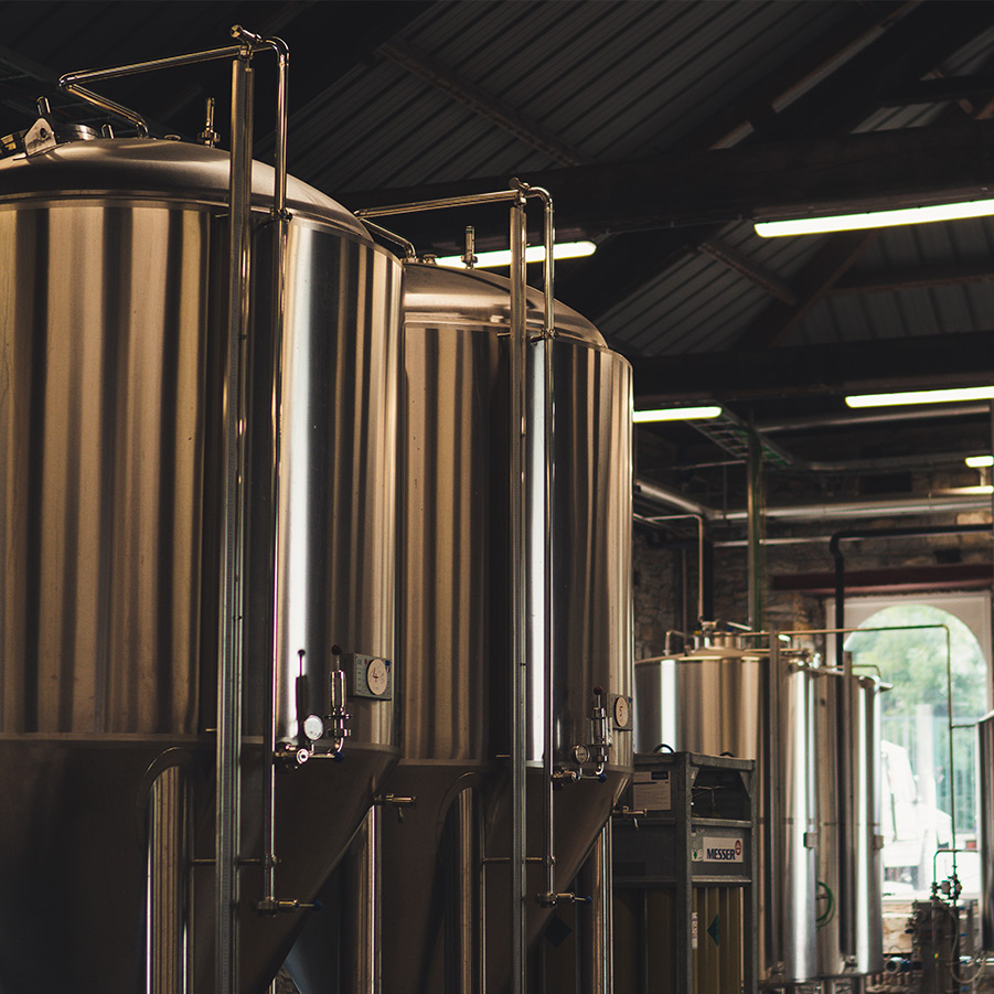 Expérience Elfique - Elfique